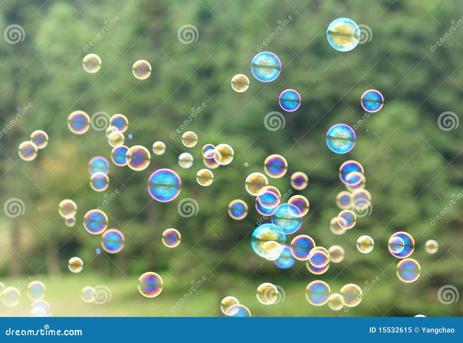 Bolla di sapone immagine stock. Immagine di alberi, bambini - 15532615