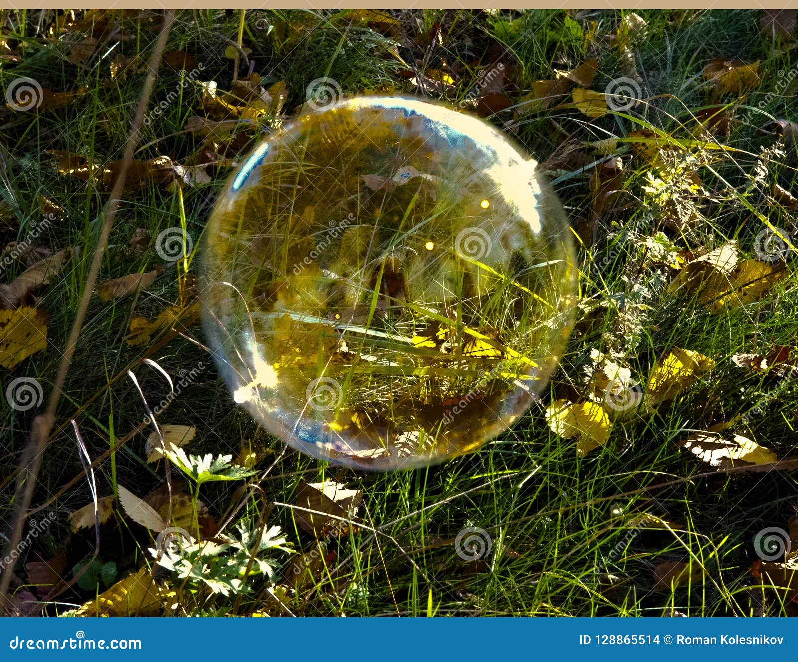 Bolla di sapone sull'erba fotografia stock. Immagine di erba - 128865514