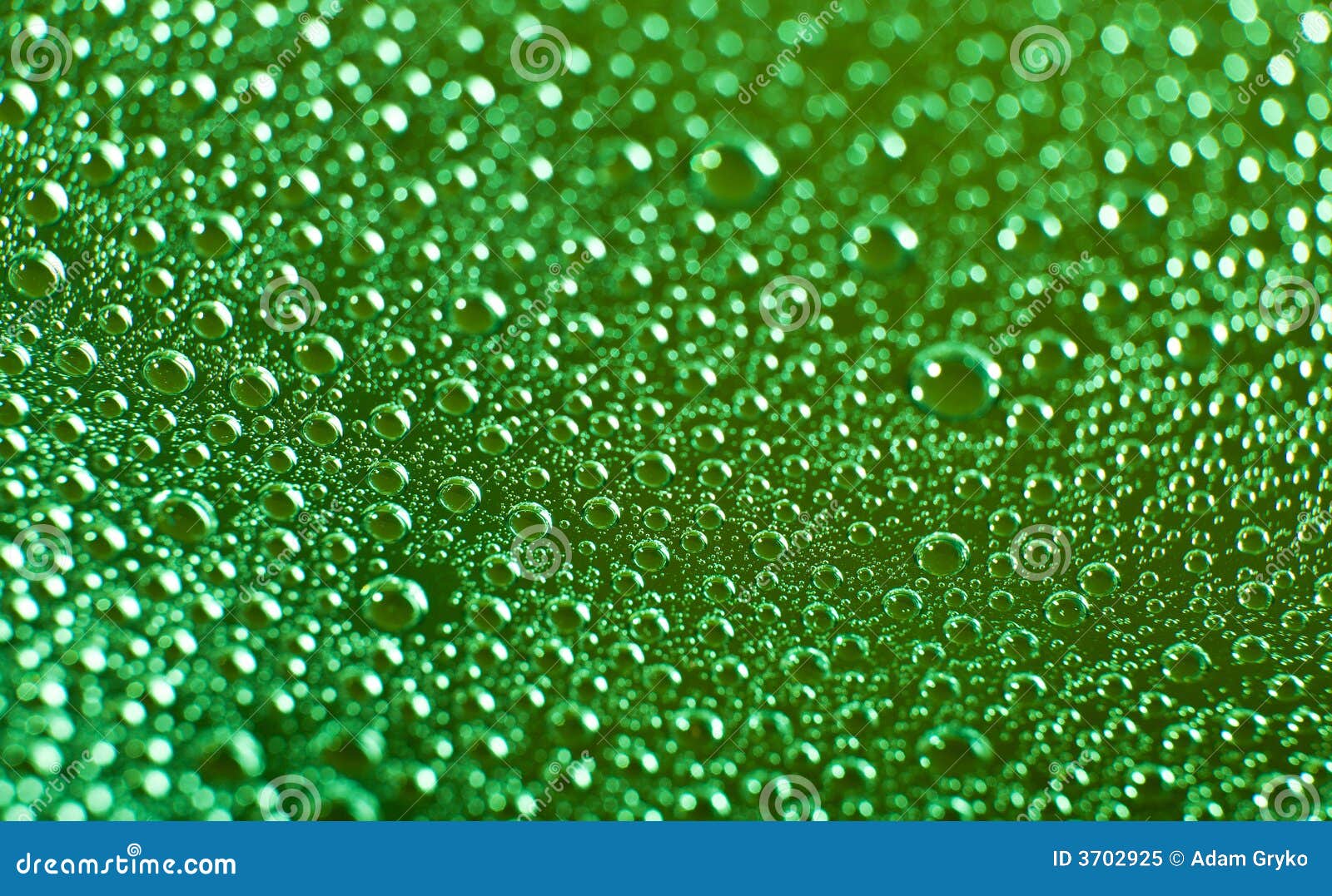 Bolle verdi immagine stock. Immagine di macro, modello - 3702925