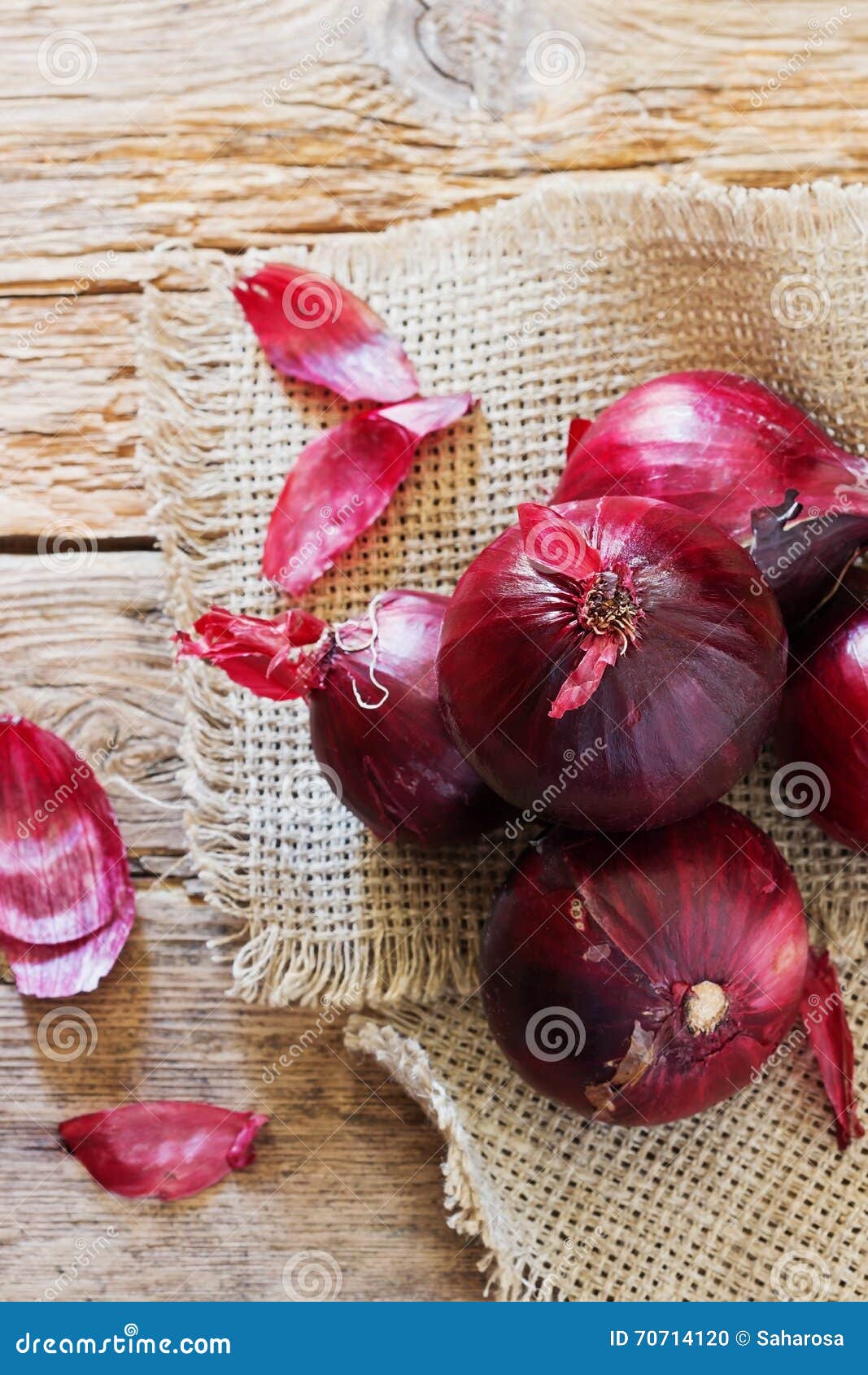 Bollen van rode ui stock foto. Image of bijtend, naughty - 70714120