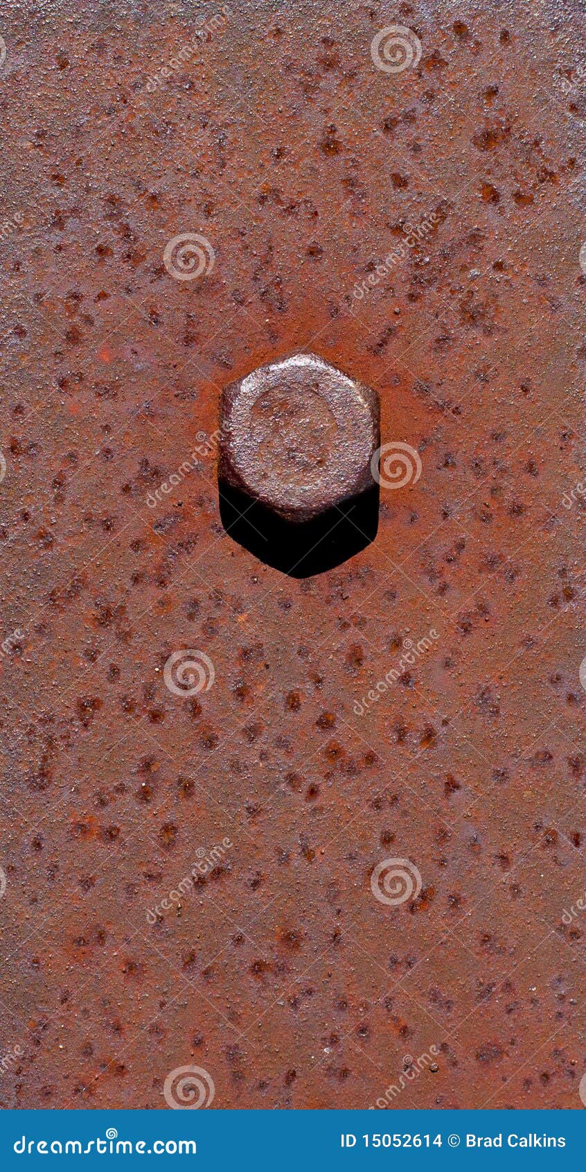 Bolt stock photo. Image of fastener, rusty, texture, metal - 15052614