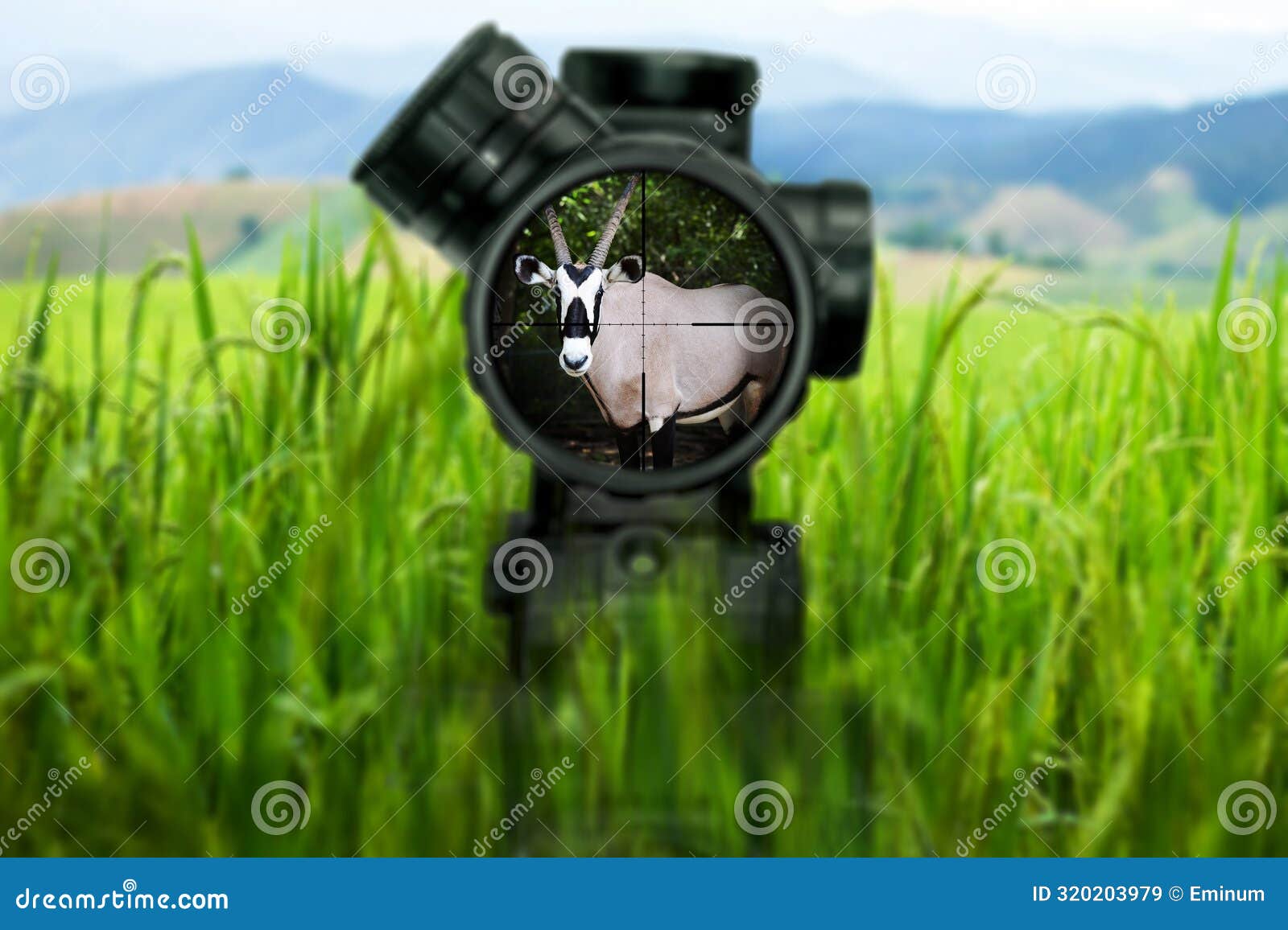 Bolt Action Sniper Rifle Aiming on Target at Shooting Range Stock Image ...