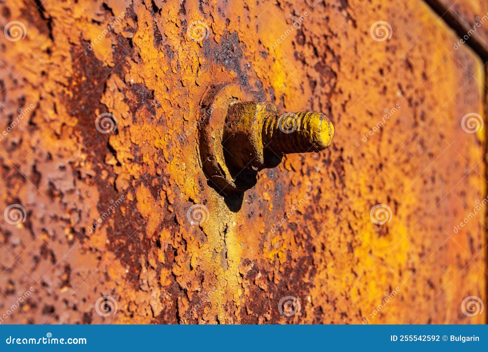 Bolt with Nut on the Gate of an Old Garage Stock Photo - Image of ...
