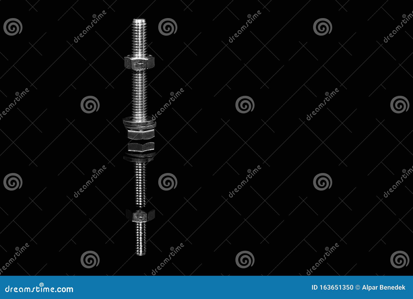 Standing Bolt Upright Stock Photography | CartoonDealer.com #61167968
