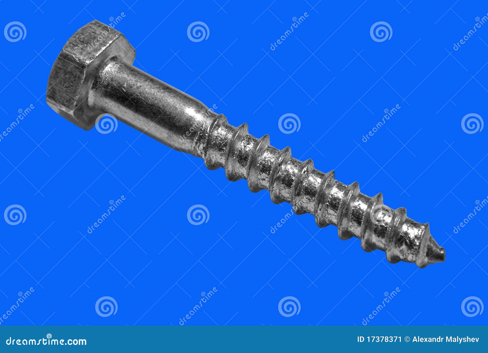 Bolt screw. stock image. Image of stainless, blue, gray - 17378371