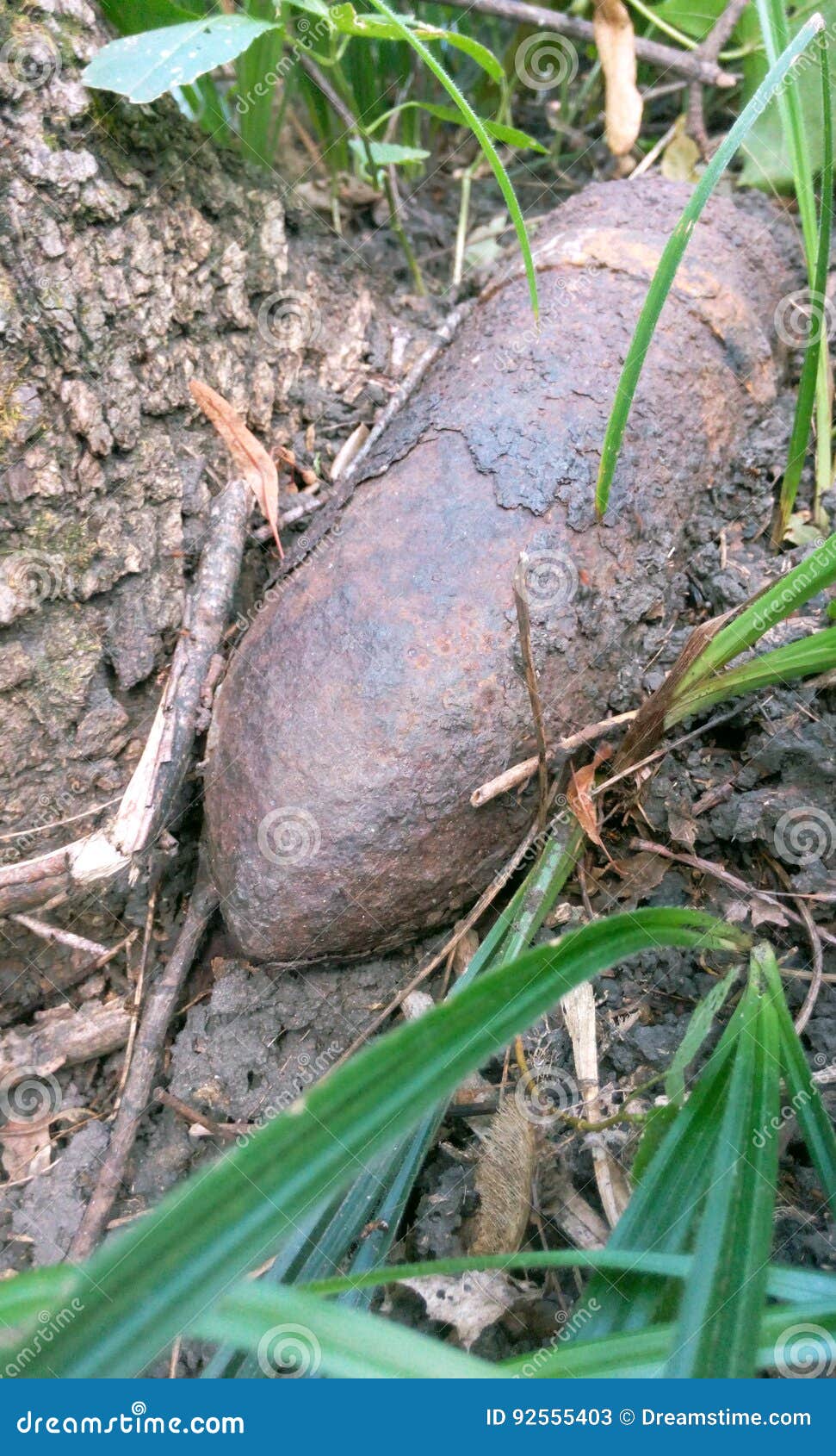 A Bomb in the Grass a Natural Photo Stock Image - Image of historic ...