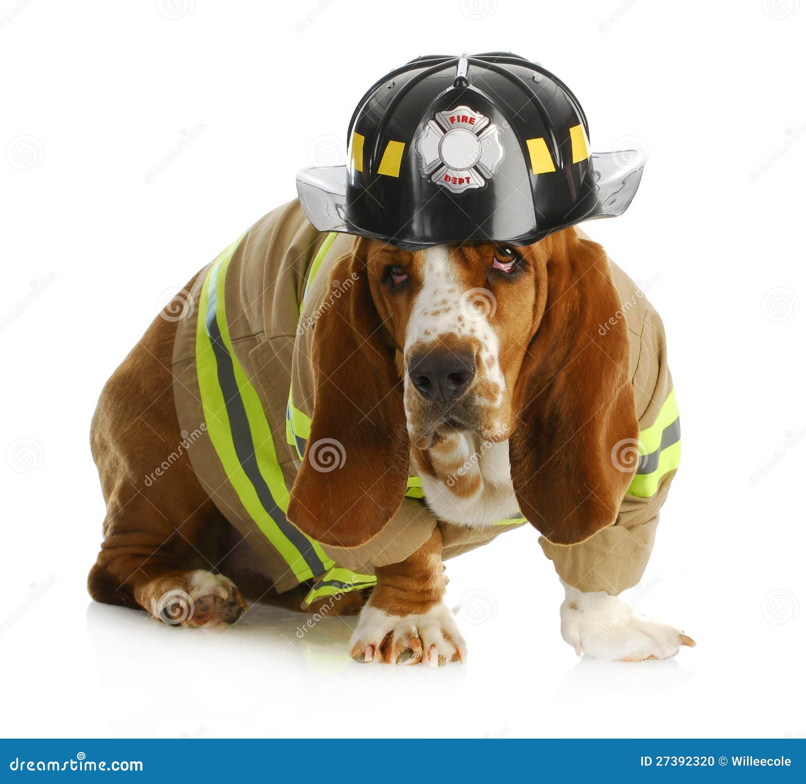 Bombero del perro foto de archivo. Imagen de casco, honestidad - 27392320