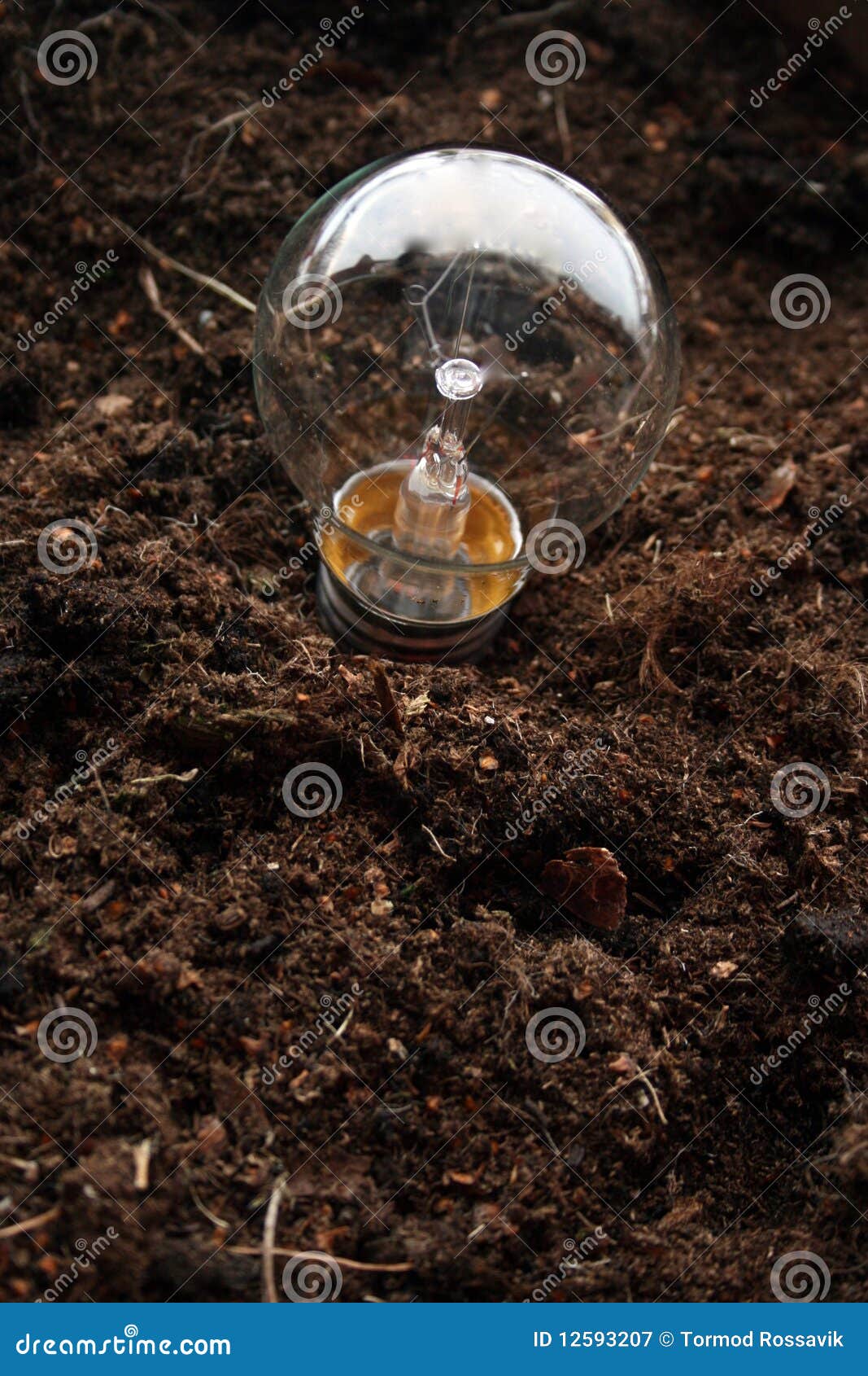 Bombilla imagen de archivo. Imagen de tierra, cristal - 12593207