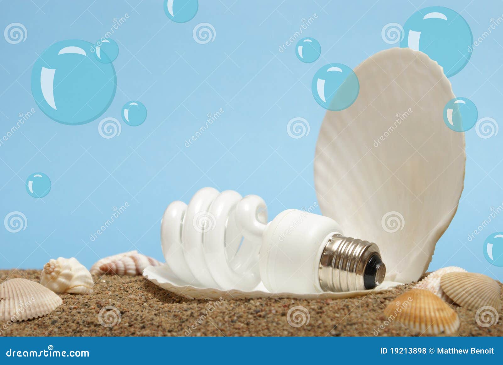 Bombilla De La Perla Del Océano Foto de archivo - Imagen de fondo ...