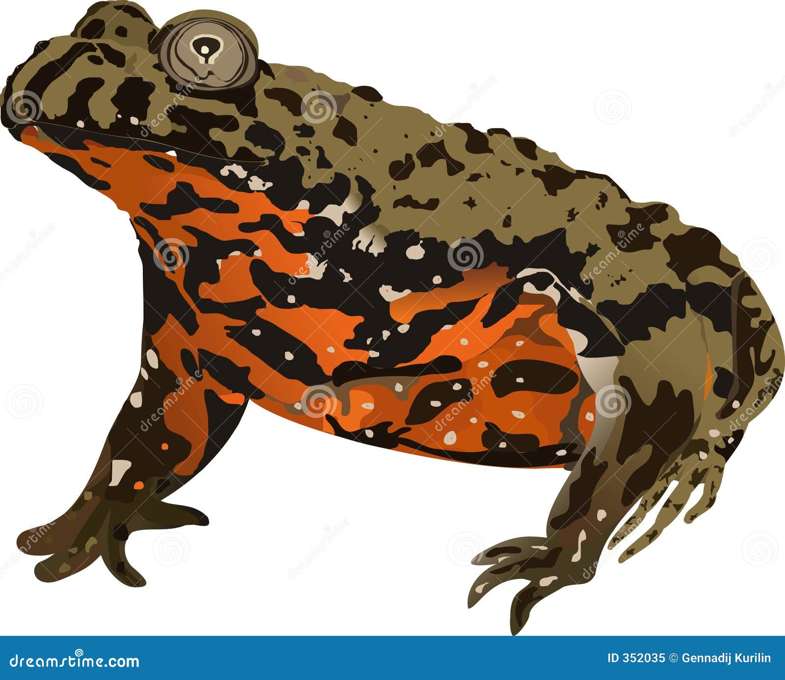 Free European Fire-bellied Toad (Bombina Bombina) Icons,, 47% OFF