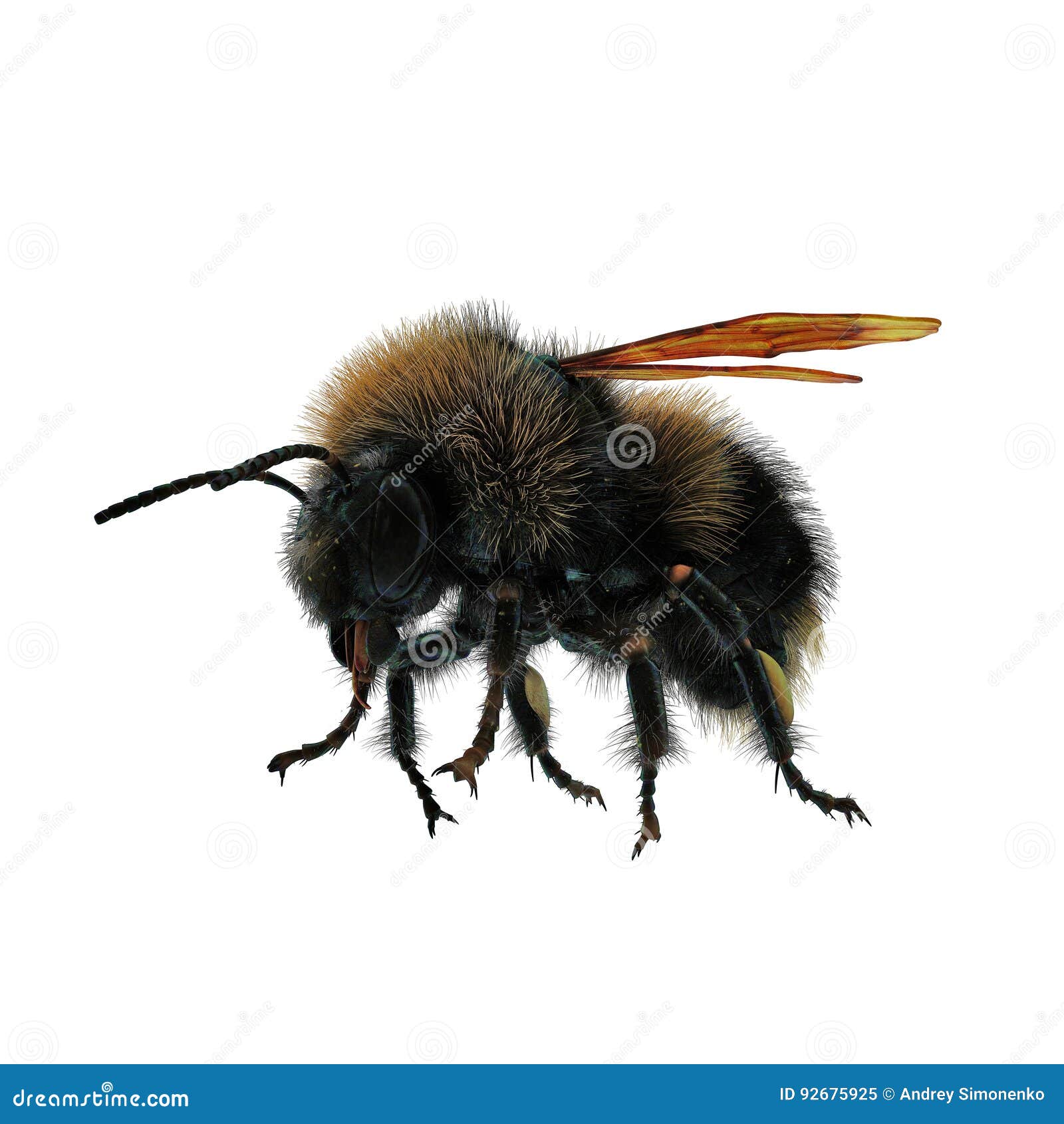 Bombo Isolato Su Bianco Illustrazione 3D Illustrazione di Stock ...