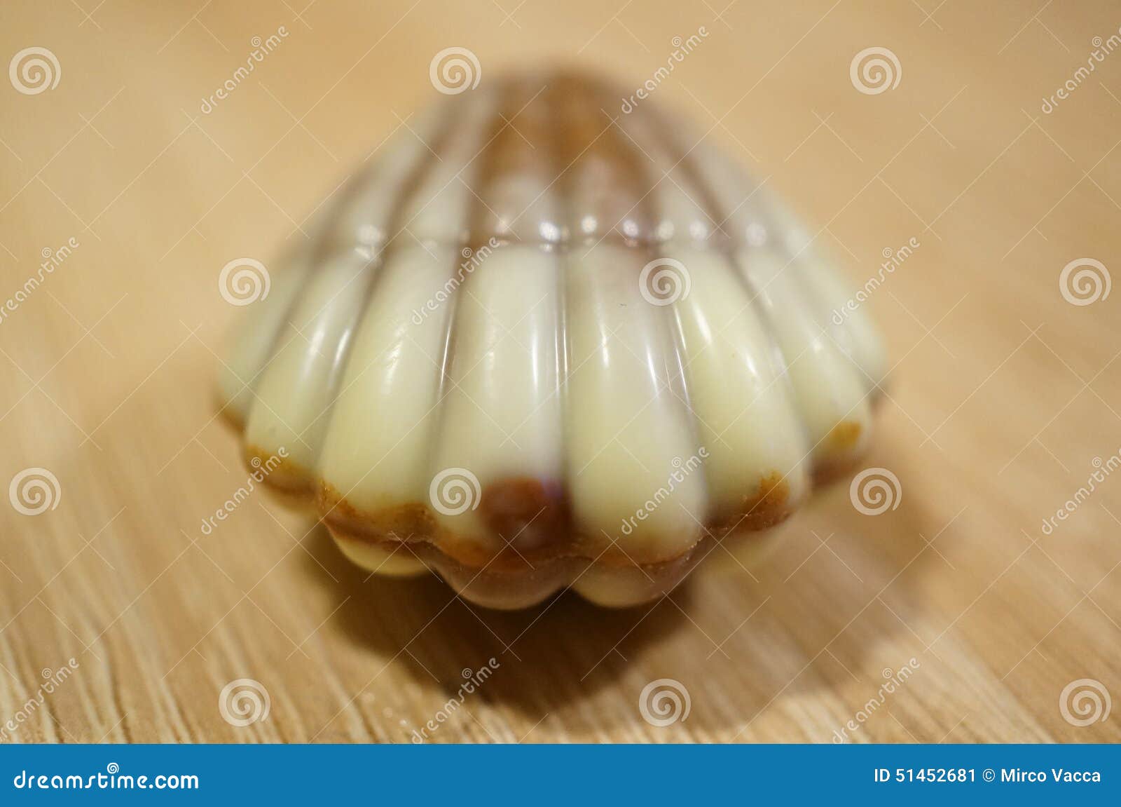 13 Bombom Da Concha Do Mar Fotos - Fotos de Stock Gratuitas e Fotos ...