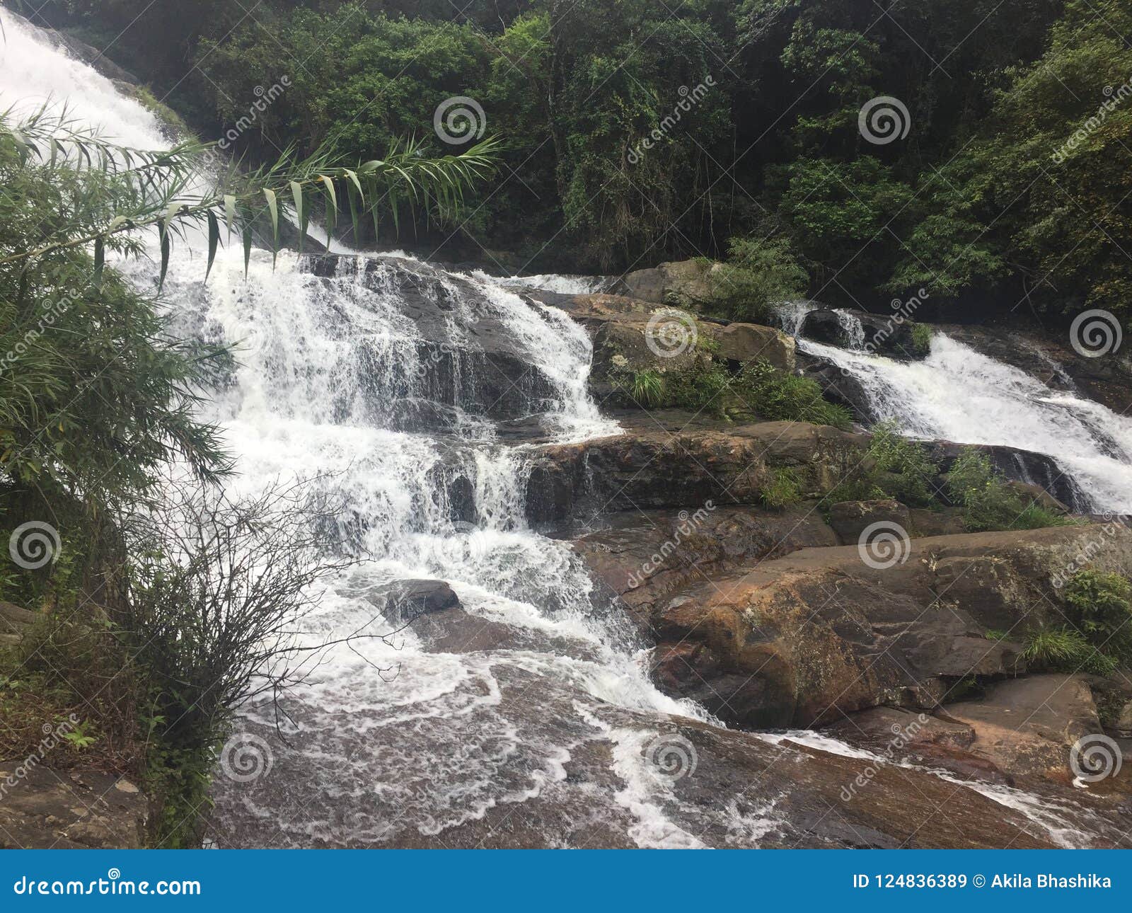 Waterfall stock image. Image of ella, bomburu, waterfall - 124836389
