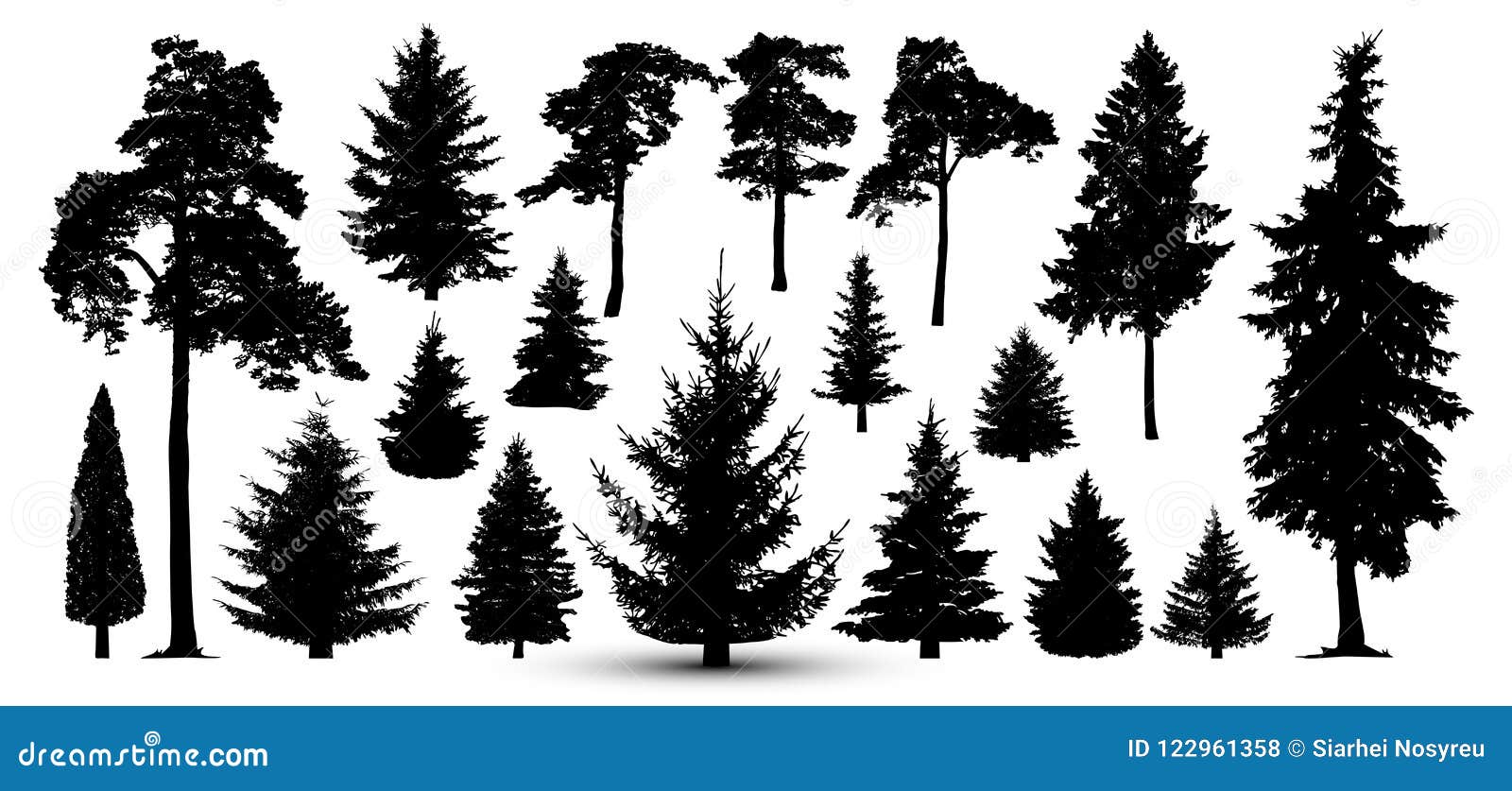Bomen Bosreeks, Vector Silhouet Van Pijnboom, Sparren Vector ...