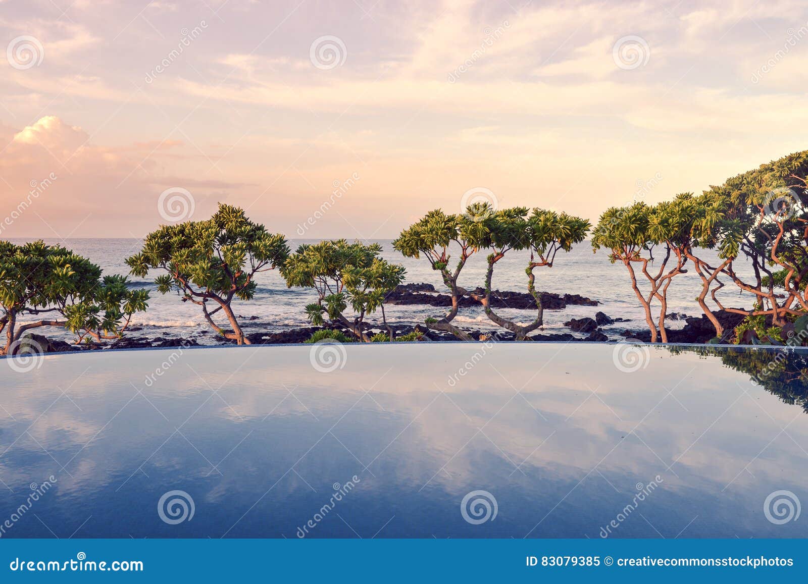 Bomen In Het Water Picture. Image: 83079385