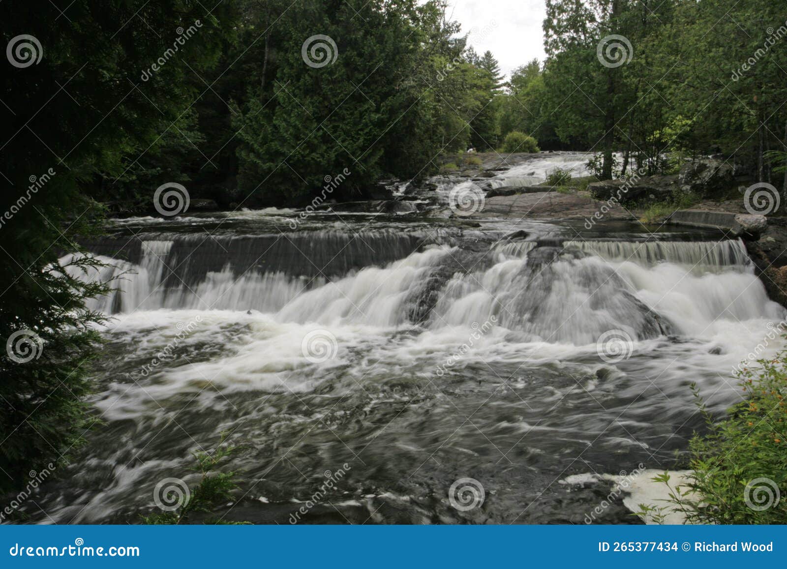 Bond Falls, Upper Peninsula of Michigan Stock Photo - Image of upper ...