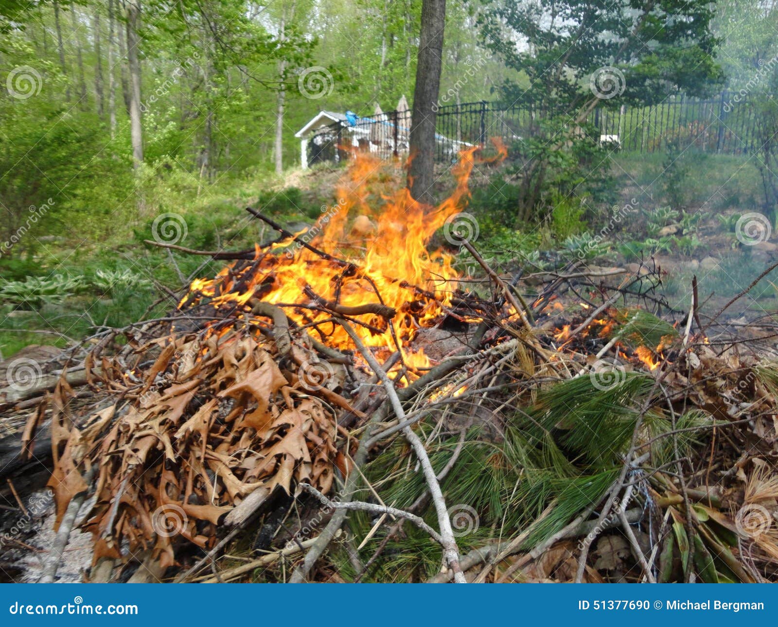 Bonfire burning in forest stock photo. Image of warmth - 51377690
