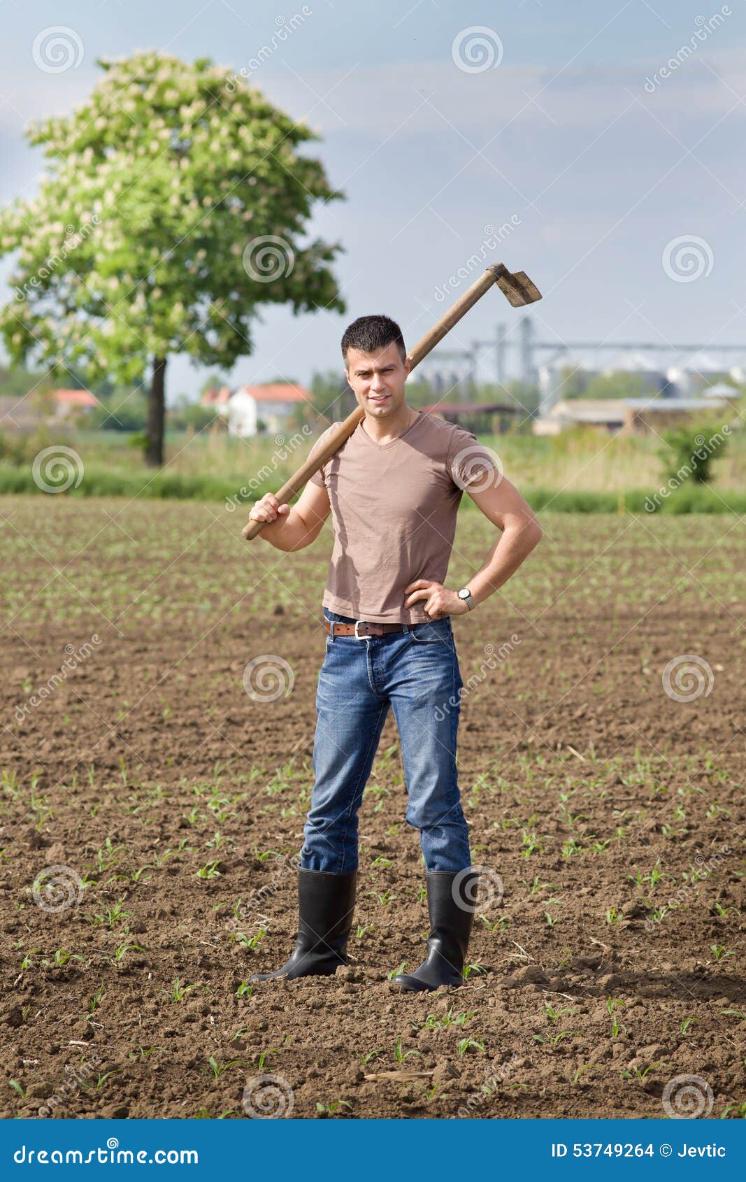 Bonde Med Hackan I Havrefält Arkivfoto - Bild av fjäder, folk: 53749264