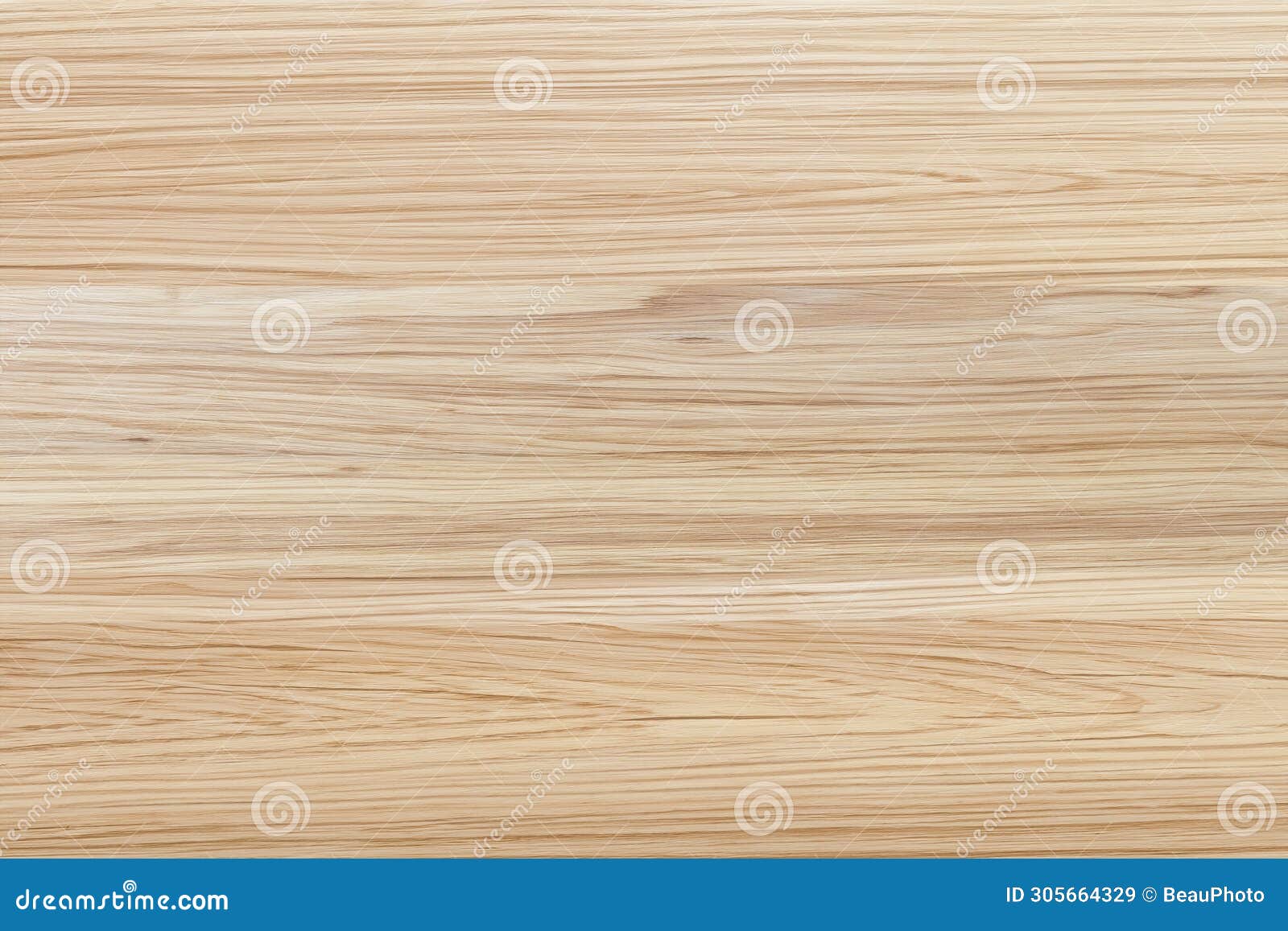 Light American Oak Wood Texture, Medium Grain - 03 Stock Image - Image ...