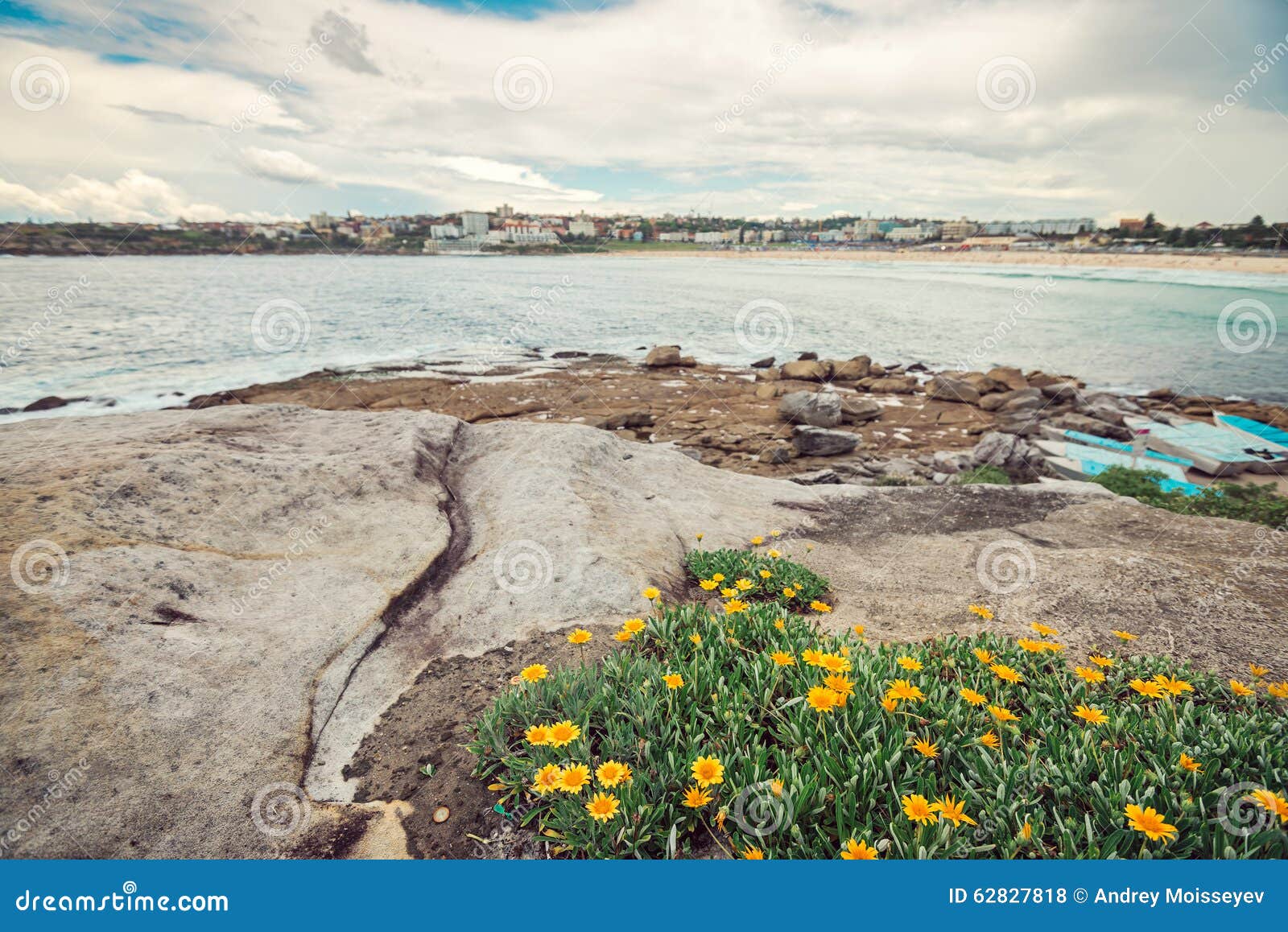 Bondi Beach View from North Bondi Rocks Stock Photo - Image of rock ...