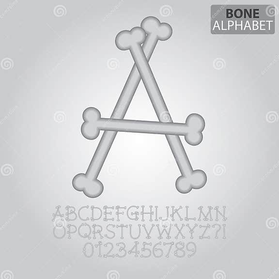 Bone Alphabet and Numbers Vector Stock Vector - Illustration of emblem ...