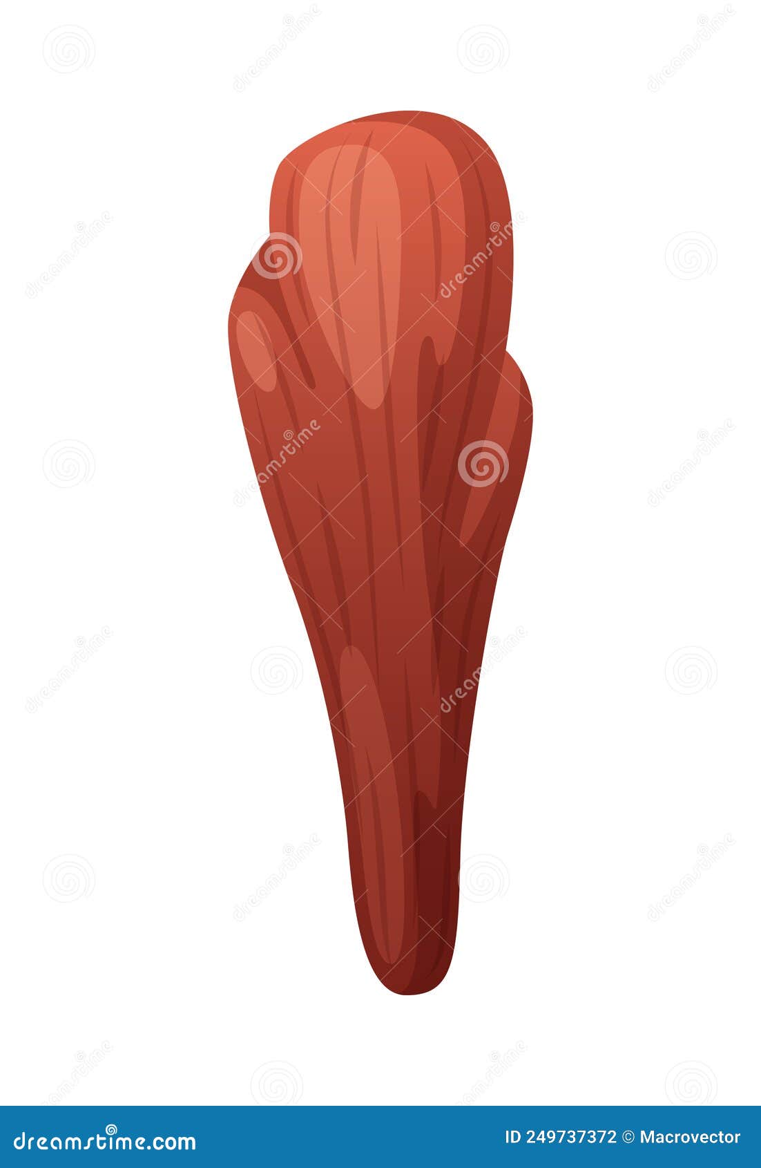 Bone Bat Prehistoric Composition Stock Vector - Illustration of wood ...
