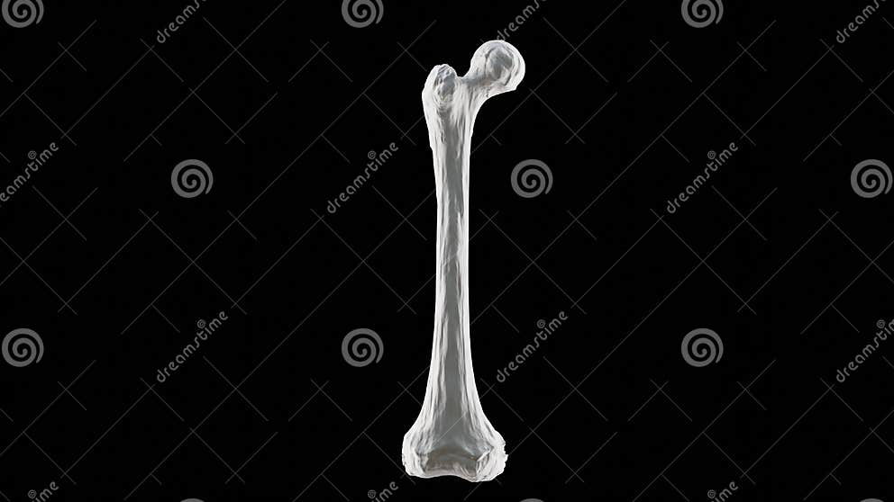 3d illustration of bone stock illustration. Illustration of lighting ...
