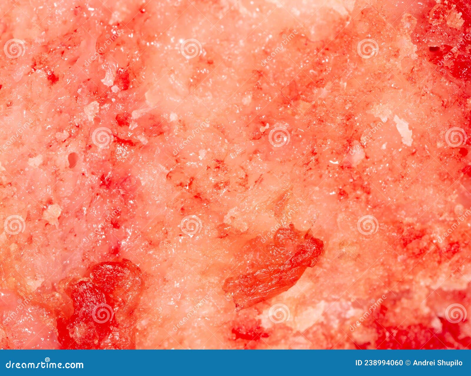 Bone with Blood Beef As Background. Stock Photo - Image of macro, white ...