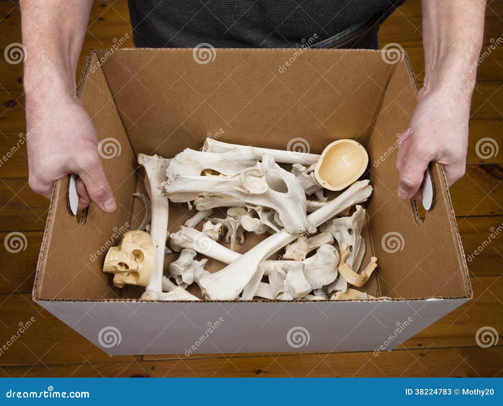 Bone Box stock image. Image of paper, male, boxes, service - 38224783