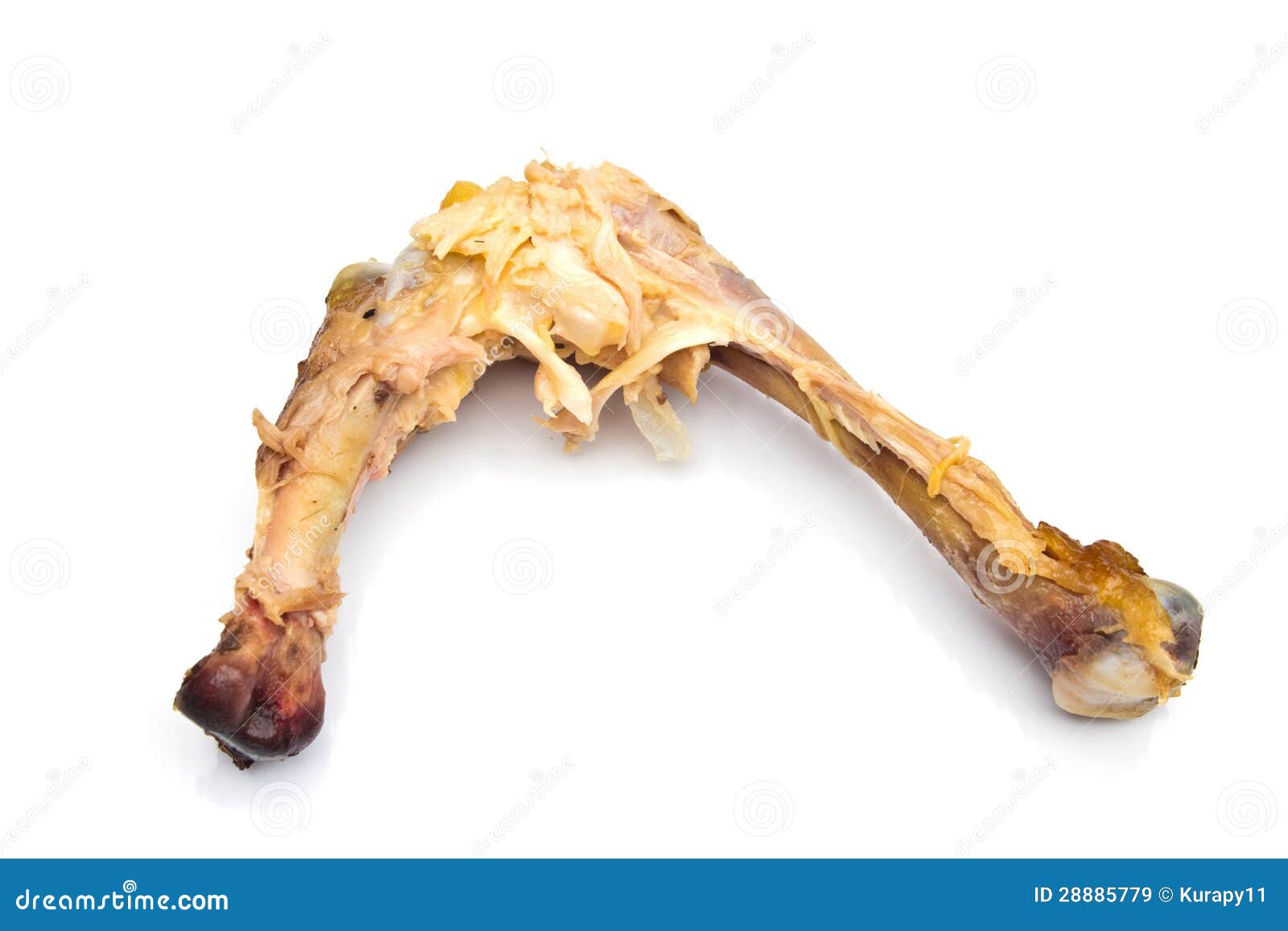 Bone of the chicken stock image. Image of chicken, vapid - 28885779