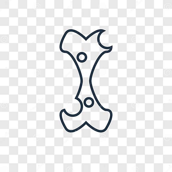 Bone Concept Vector Linear Icon Isolated on Transparent Background ...