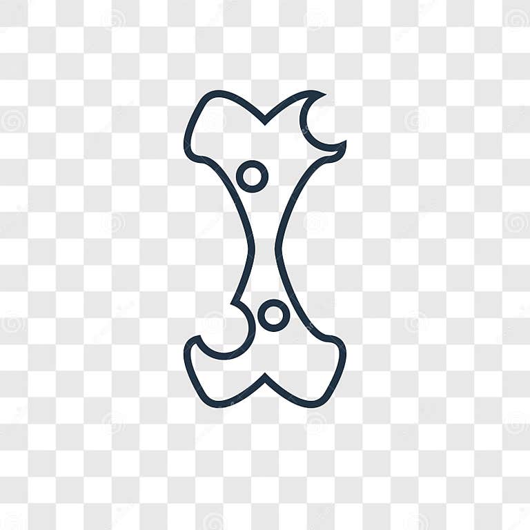 Bone Concept Vector Linear Icon Isolated on Transparent Background ...