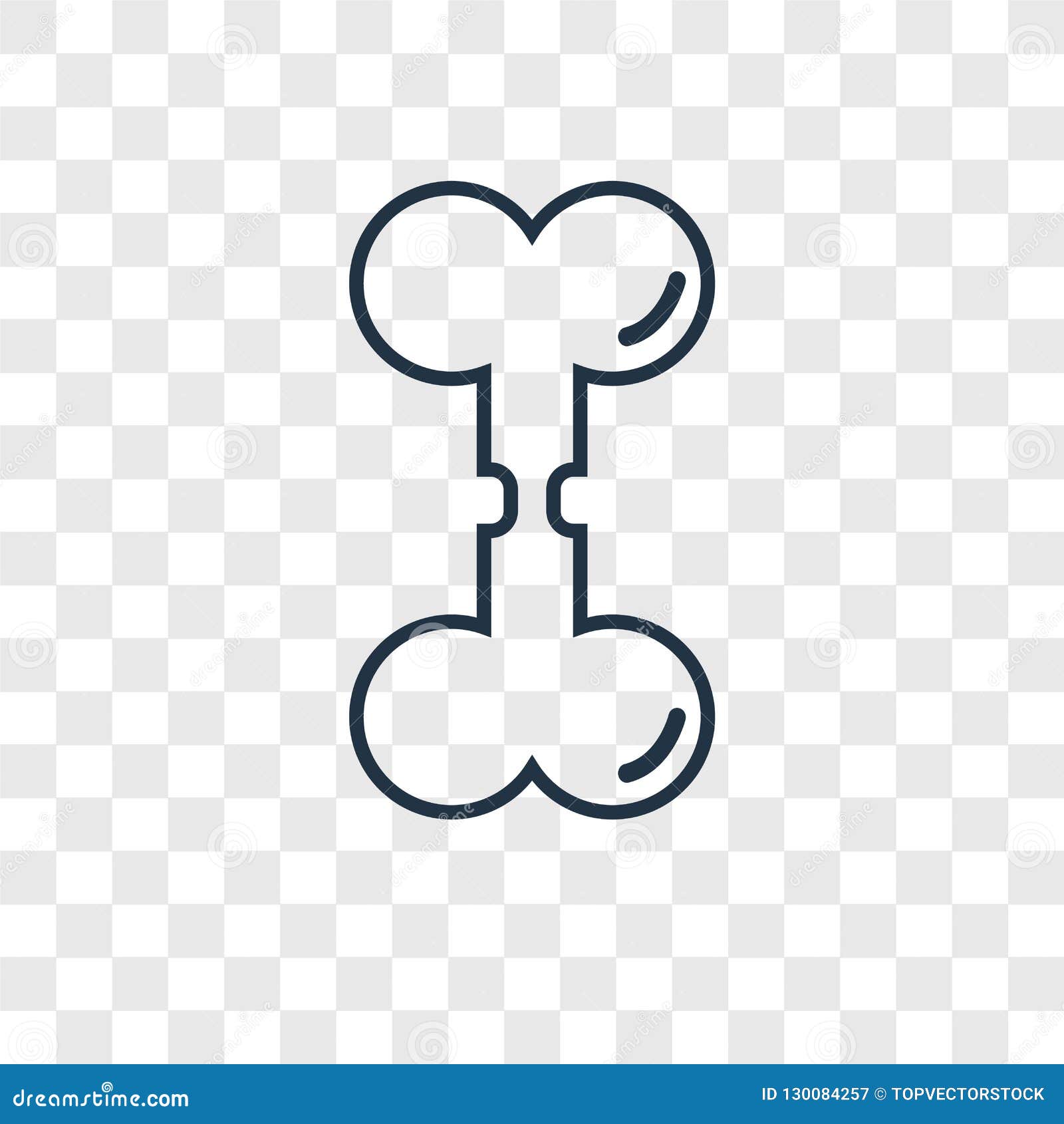 Bone Concept Vector Linear Icon Isolated on Transparent Background ...
