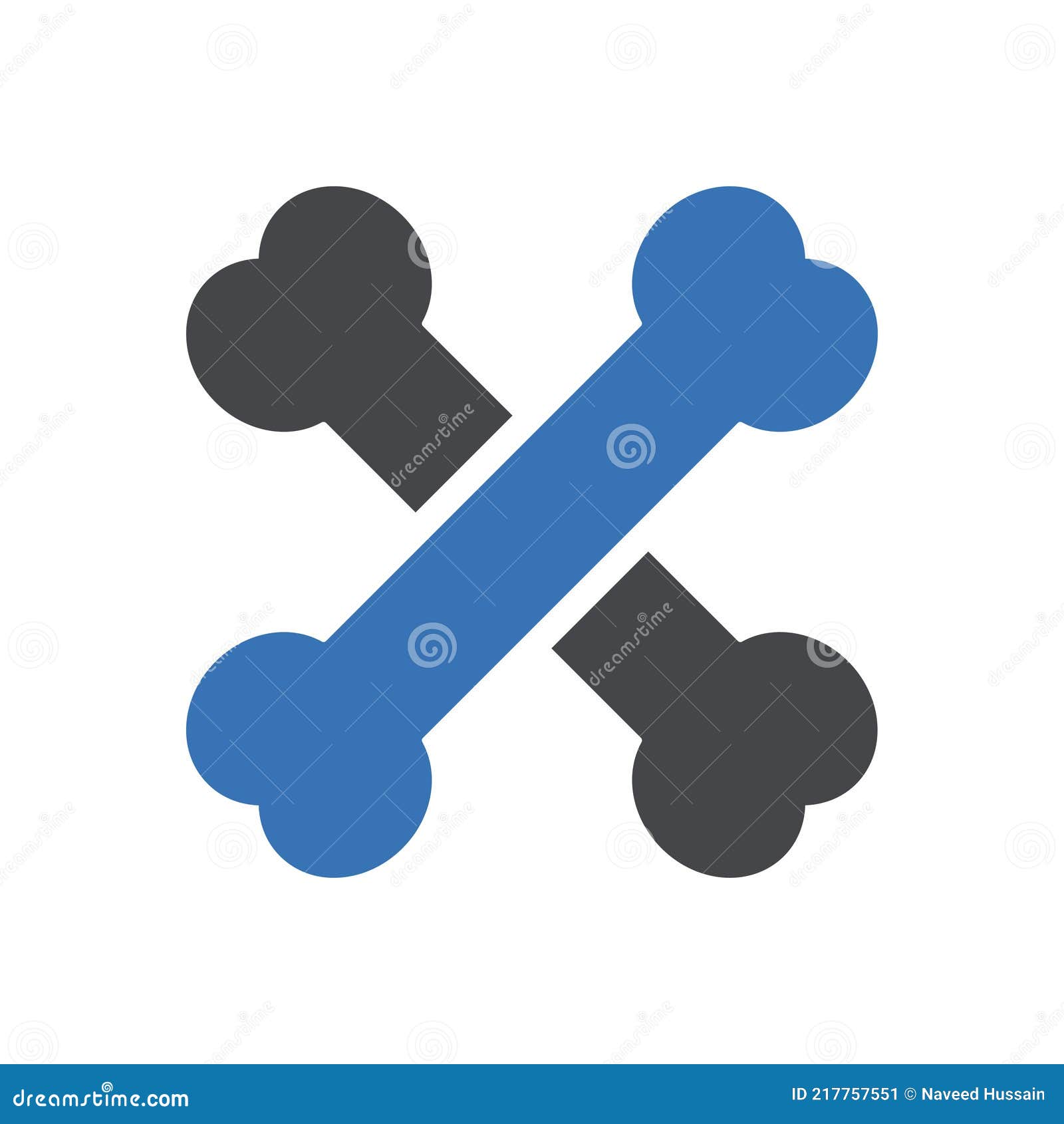 Bone Cross Section And Isolated Anatomical Detailed Structure Outline ... Bone Cross Section And Isolated Anatomical Detailed Structure Outline ...