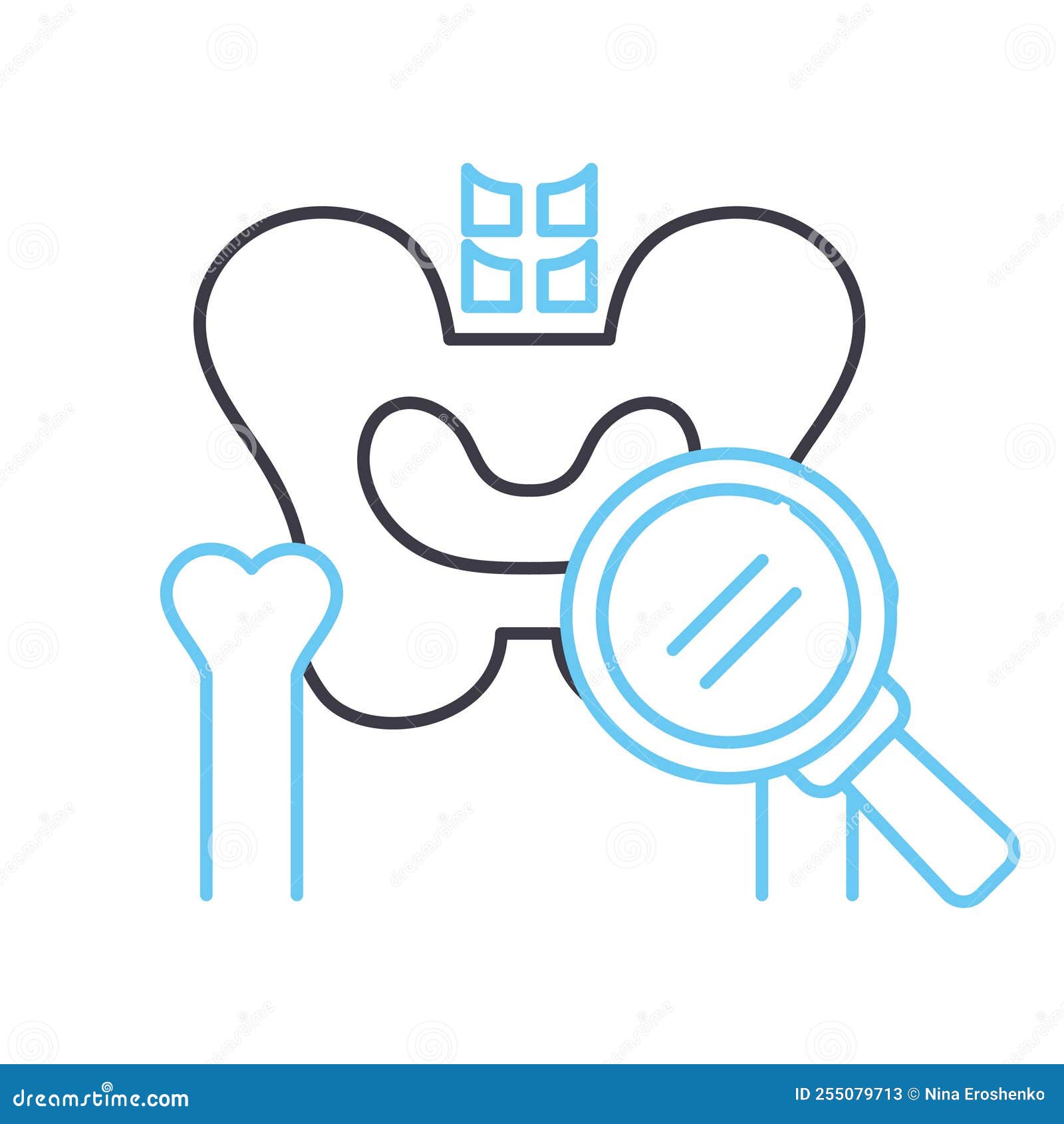 Bone Densitometry Line Icon, Outline Symbol, Vector Illustration ...