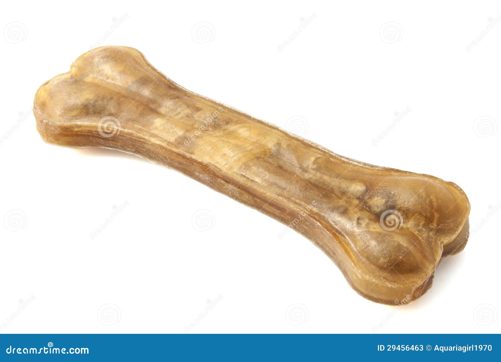 Bone for the dog stock image. Image of canine, macro - 29456463