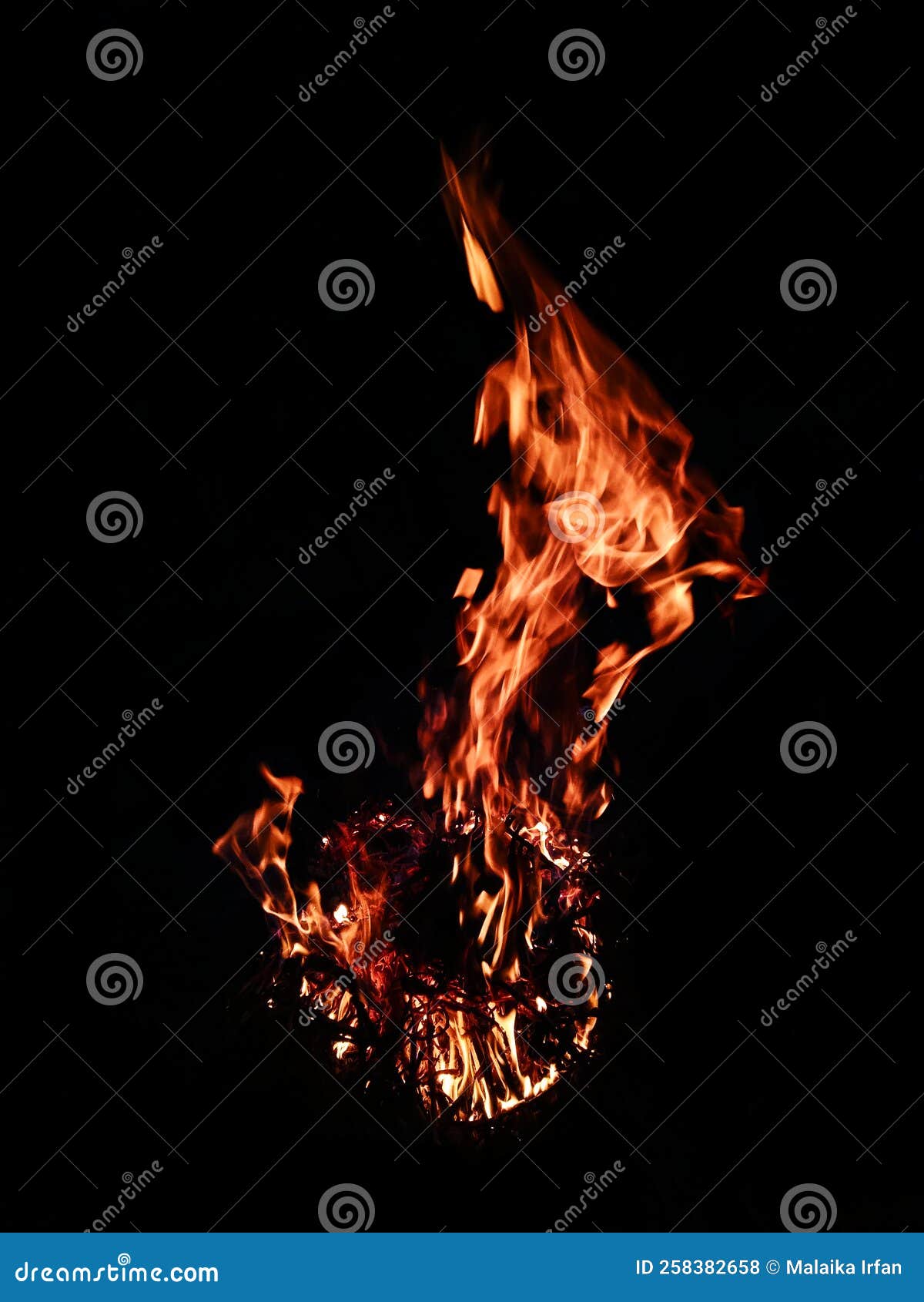 Bone fire stock photo. Image of fire, looks, bone, innight - 258382658