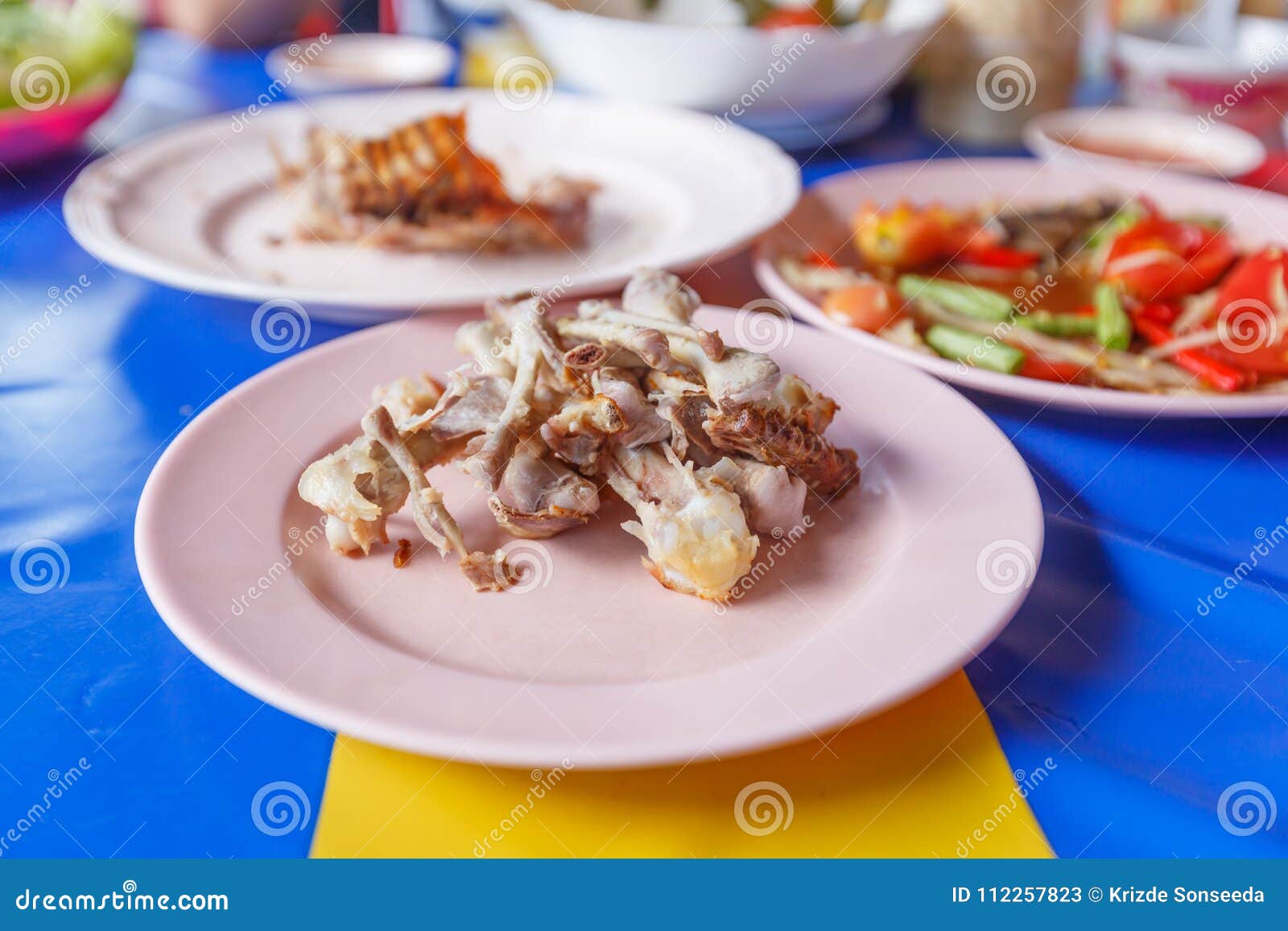 Bone Fragments of Chickens Select Focus,Chicken Bone is Placed on a ...