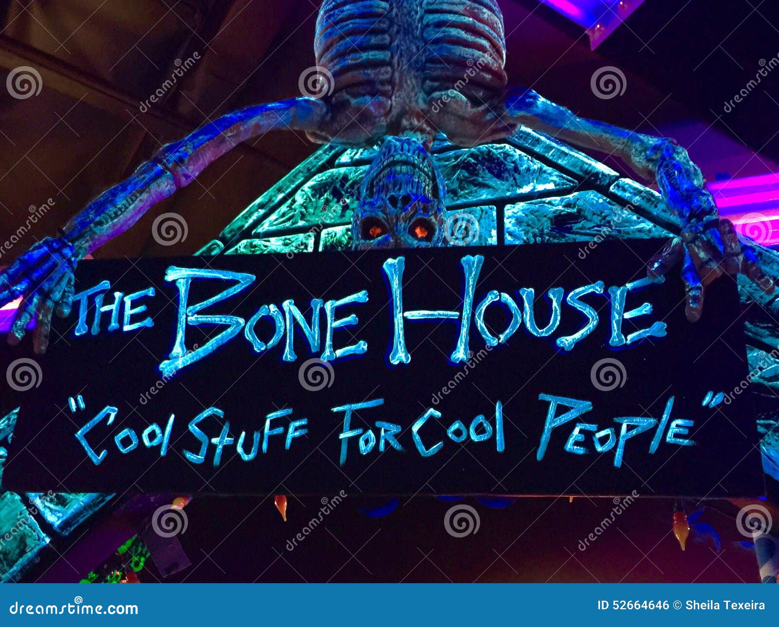 Bone house stock photo. Image of neon, dayglo, bone, house - 52664646