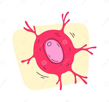 Bone Human Cell stock vector. Illustration of medicine - 280800041