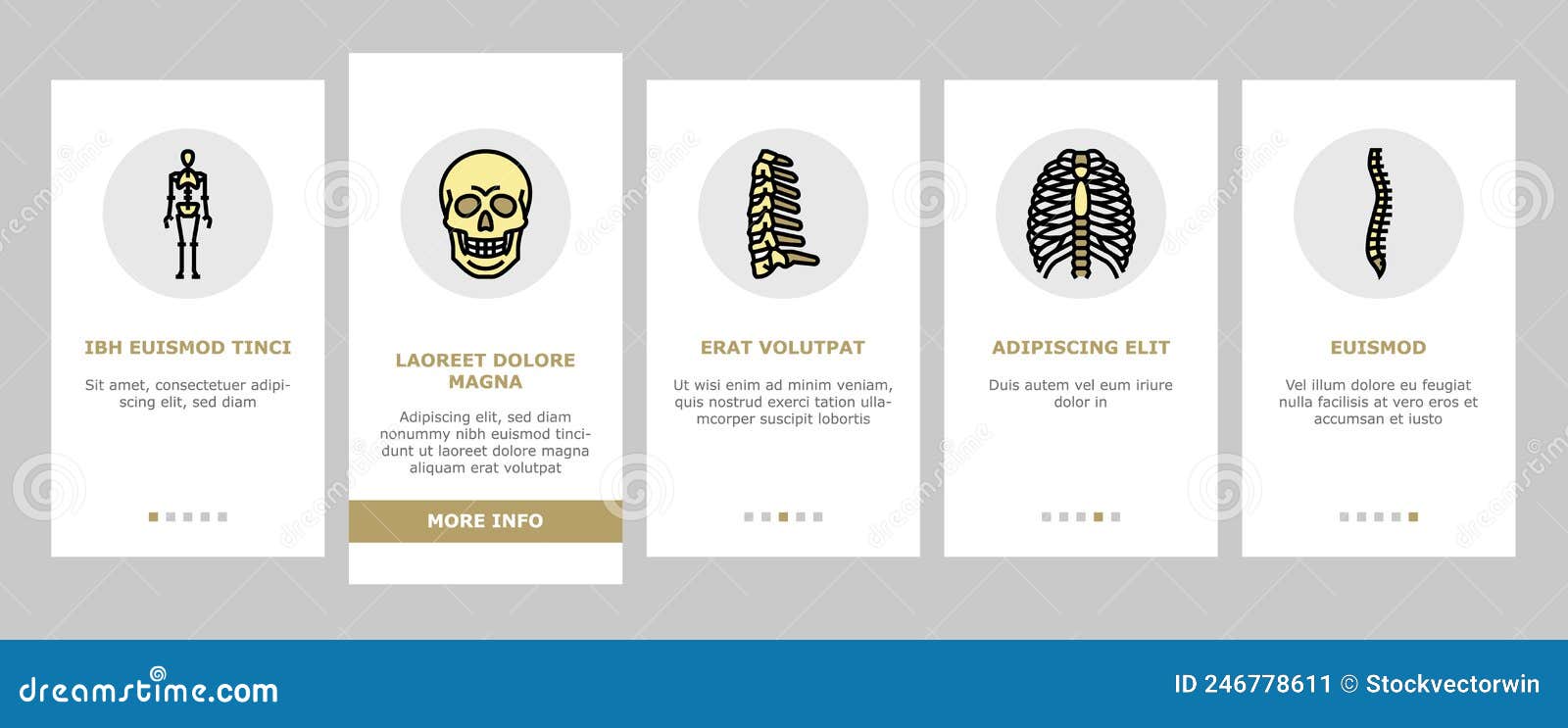 Bone Human Skeleton Structure Onboarding Icons Set Vector Stock ...