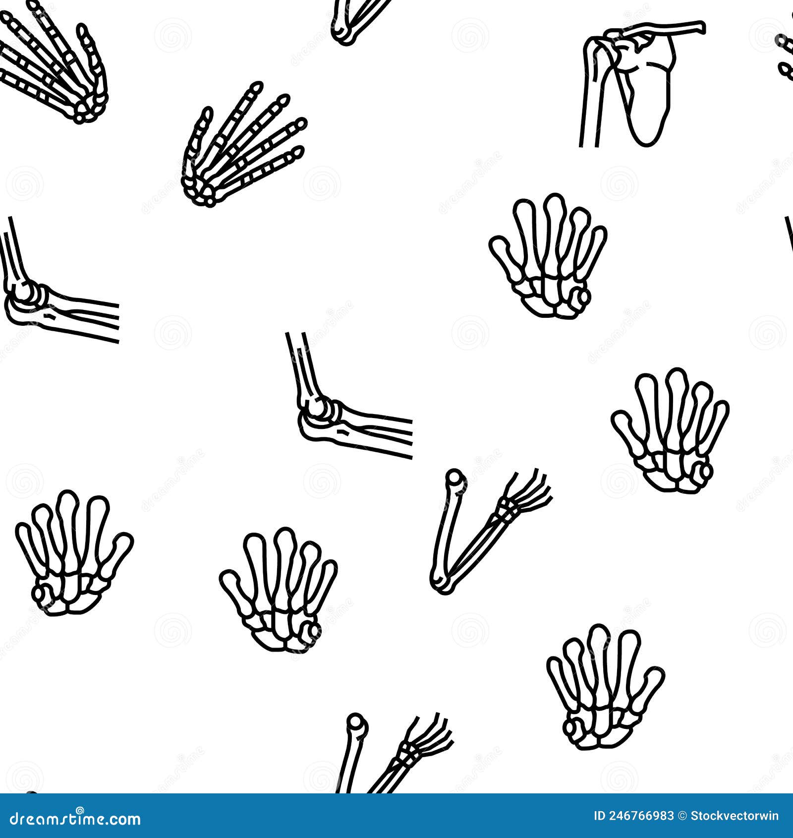 Bone Human Skeleton Structure Vector Seamless Pattern Stock Vector ...