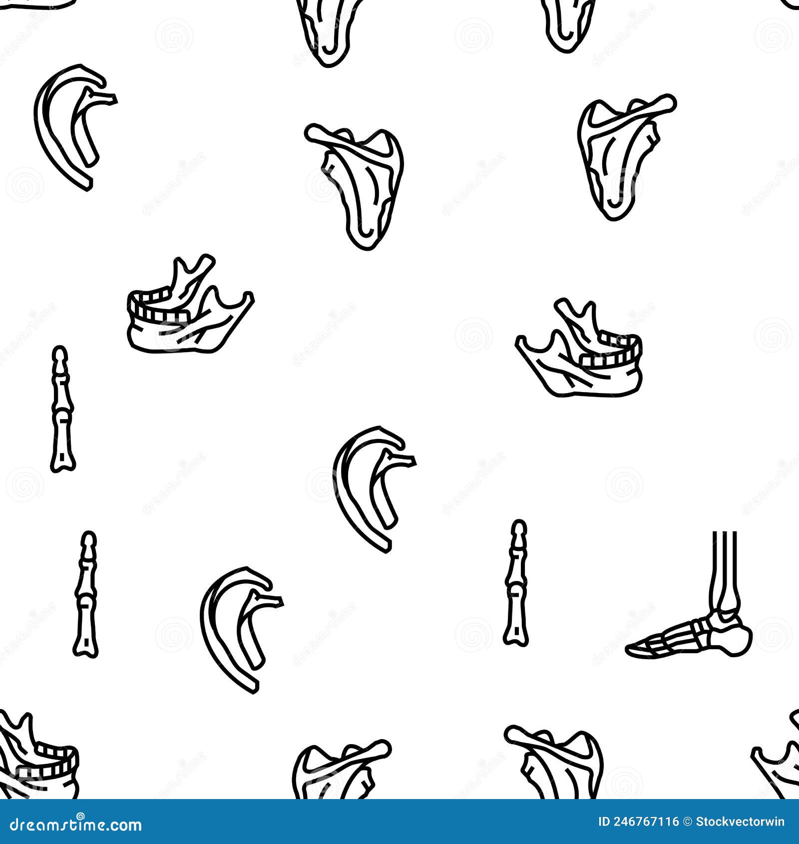 Bone Human Skeleton Structure Vector Seamless Pattern Stock ...