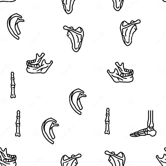 Bone Human Skeleton Structure Vector Seamless Pattern Stock ...