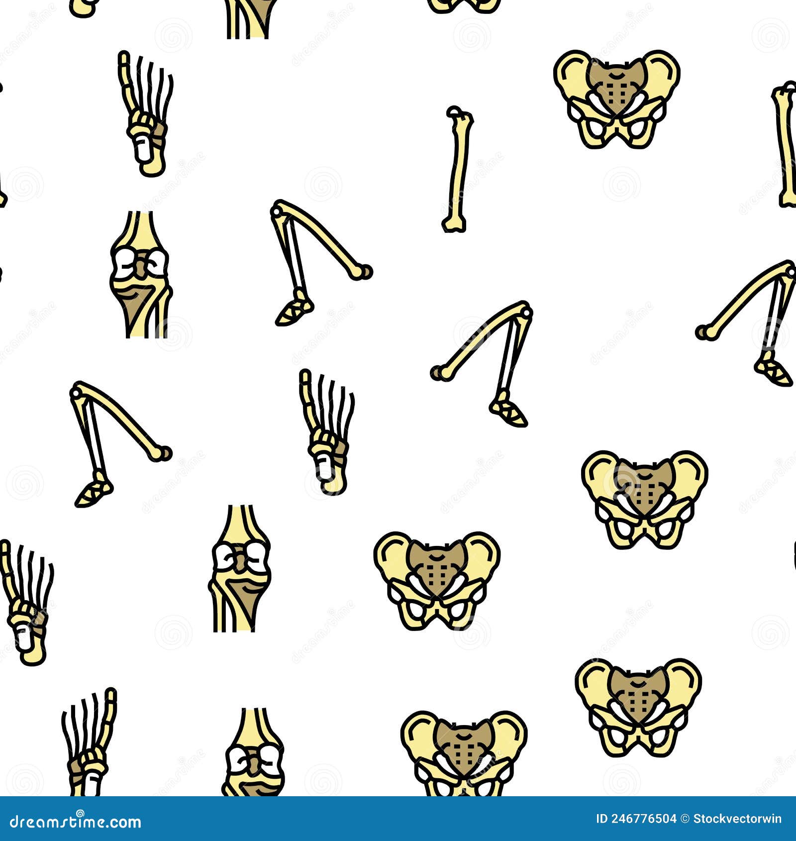 Bone Human Skeleton Structure Vector Seamless Pattern Stock ...