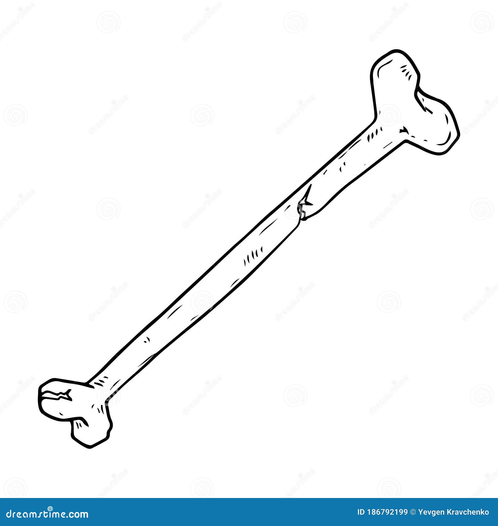 Bone Icon. Vector Illustration of a Bone. Hand Drawn Human Bones Stock ...
