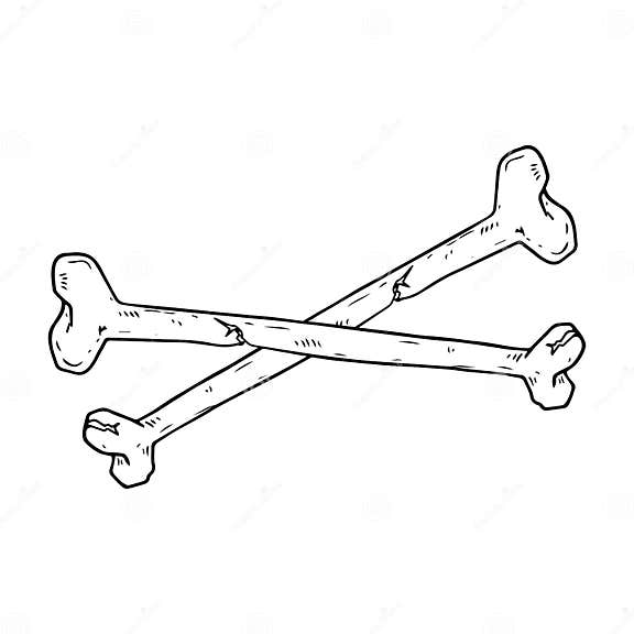 Bone Icon. Vector of a Bone. Hand Drawn Human Bones Stock Vector ...