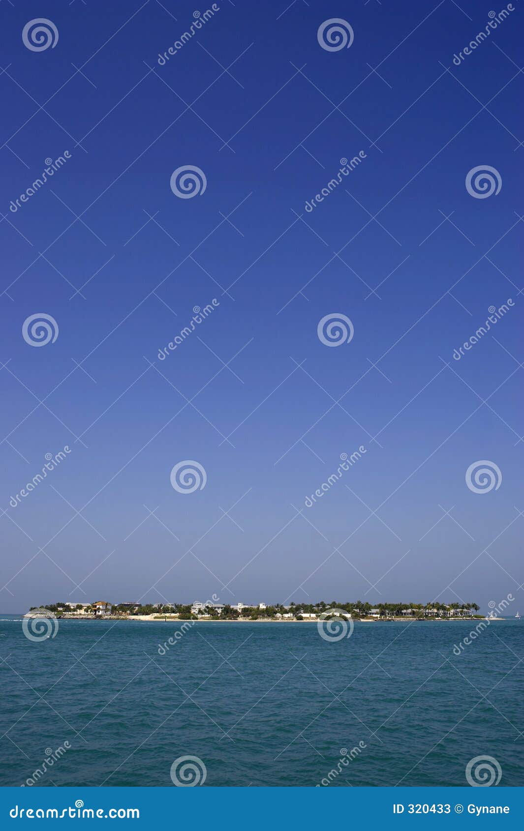 Bone island stock image. Image of ocean, isle, island, land - 320433