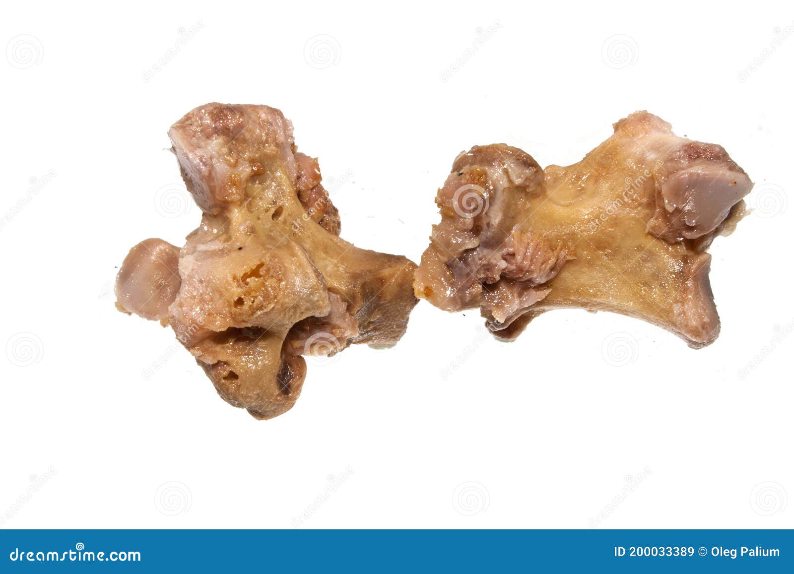 Bone Isolated on White Background Stock Image - Image of background ...