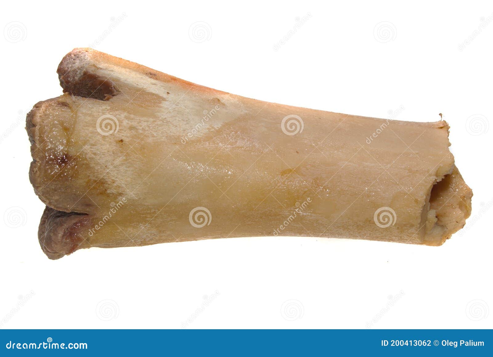 Raw Pork Femur Bones Stock Photos - Free & Royalty-Free Stock Photos ...